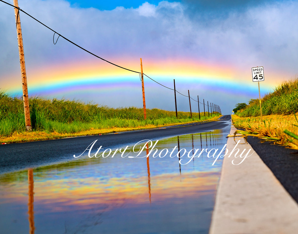"Rainbow Road" – Atort Photography